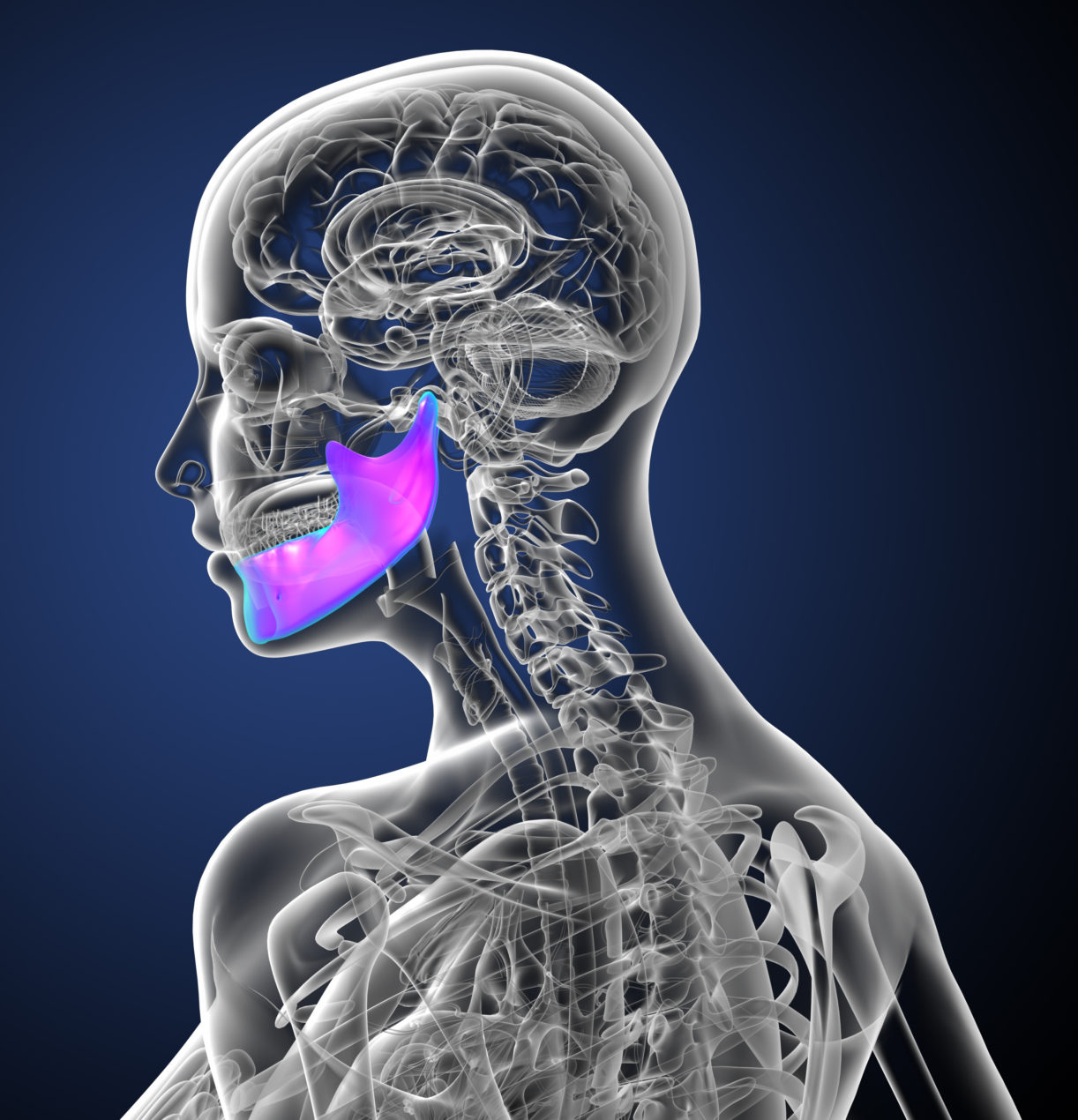 TMJ Doctor Of Maryland – Dr. Stephen H. Gamerman D.D.S., P.A.